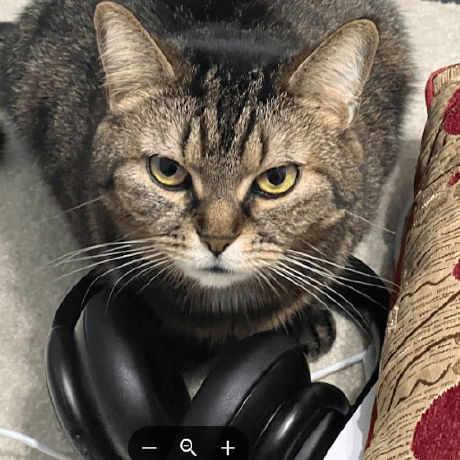 Basit M Muhammad Basit Github