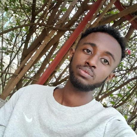 Lemibk Lemi Bidika Github