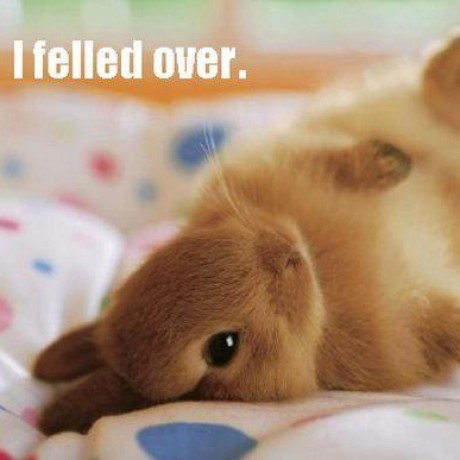 Bridget A Baker Bridget Baker Github