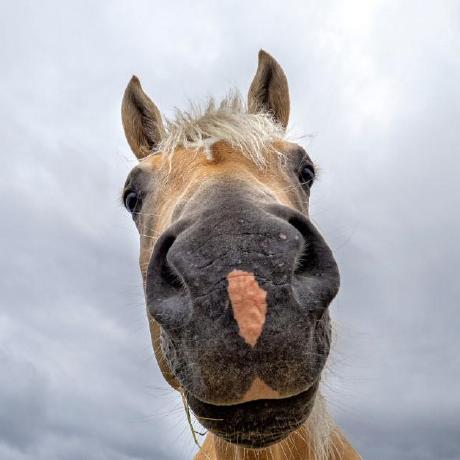 Adham Gomaa Adham Hatem Github