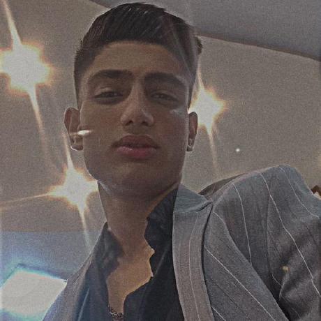 Hoseintanavar Github