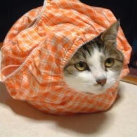 Ozero Ozero Dien Github