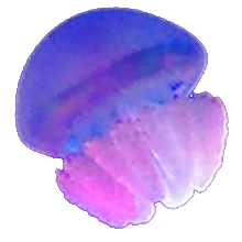 H7ga40 Hiroaki Nagashima Github