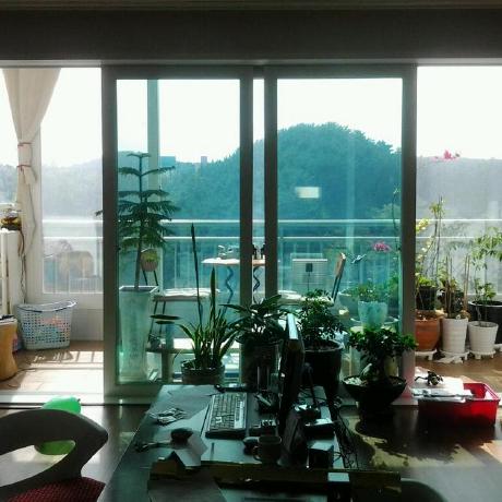 Young1329 Youngsik Kim Github