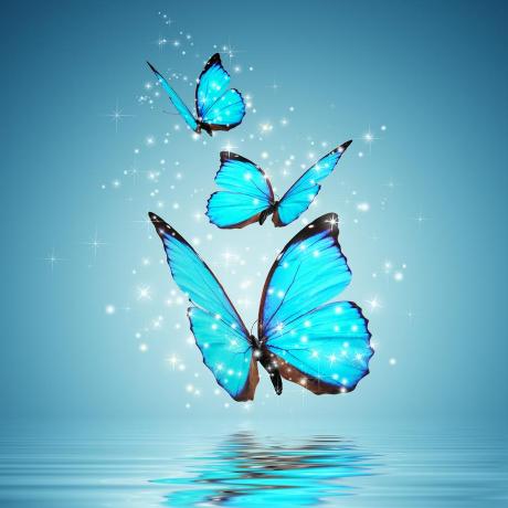 Carolineboyer Caroline Boyer Github