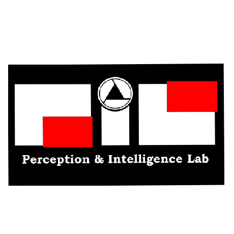Pillabiitk Perception Intelligence Lab Github