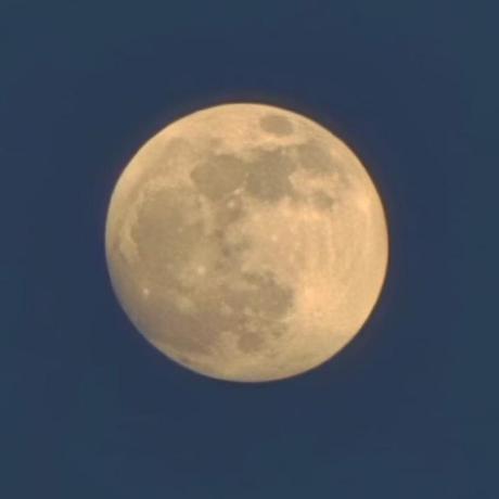 Raryru Ruslan Github