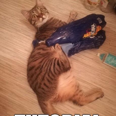 Pixelpenguin Ai Aylin Github