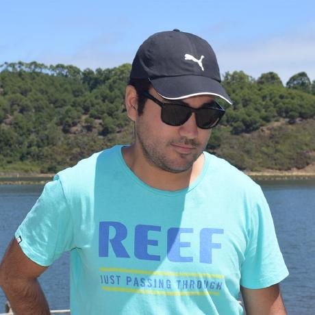 Sergiocodes Sergio Github