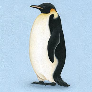 Yasuo Dev Yasuo Github