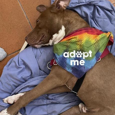 Remotedataengineer Github