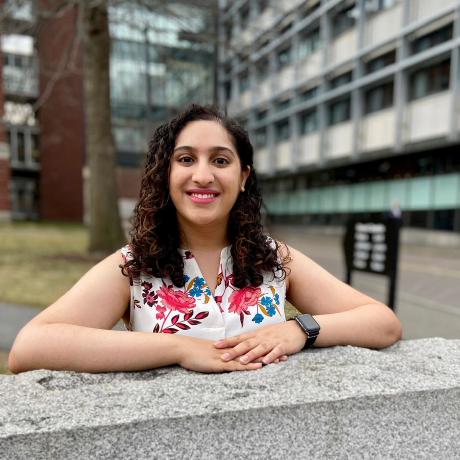 Searce Alisha Github - Creative Retina Geometric Designs | Free Download