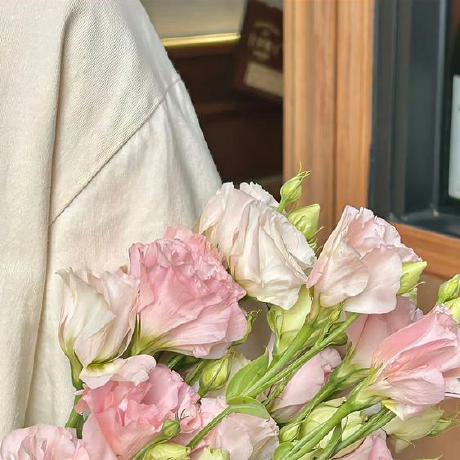 Aauullia Aulia Github