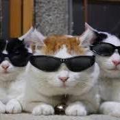 Wen Biao Wen Biao Jiao Github