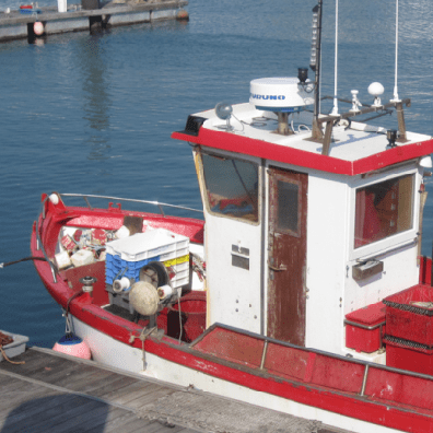 Molecular Fisheries Laboratory Github