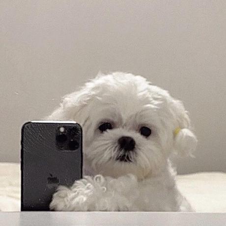 Parth 1104 Parth Github