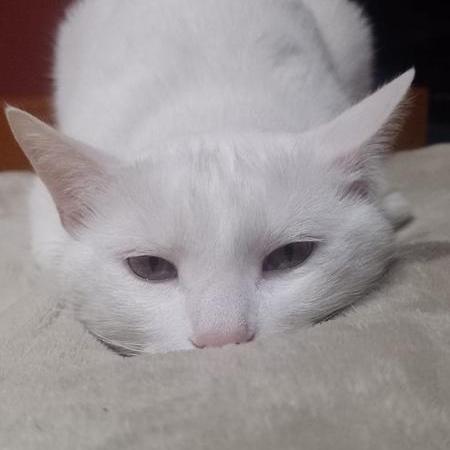 Walter Fb Walterb Github