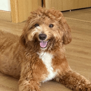 Crazyminy Crazyminy Github - Vintage Patterns - Premium Ultra HD Collection