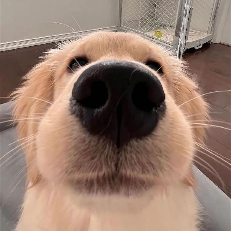 Jeevan Aj Jeevan Aj Github