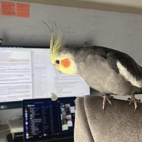 Marilyndevx Mari á â â Github