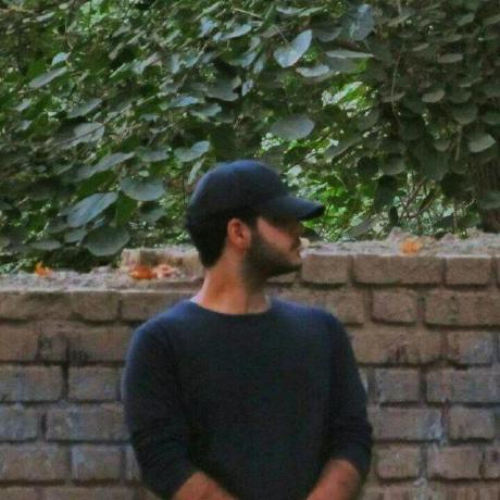 Ariabalaei Aria Balaei Github