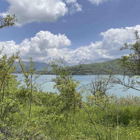 Kopec Physics Lab Github