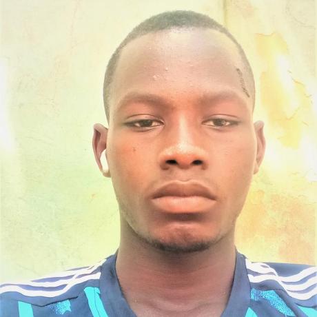 Sowsalim01 Mamadou Sow Github