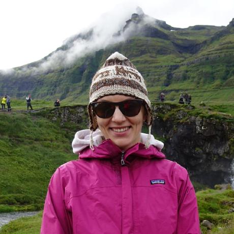 Alinapetukhova Github