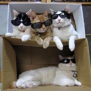 Capjjang Github - Best Abstract Patterns in Retina