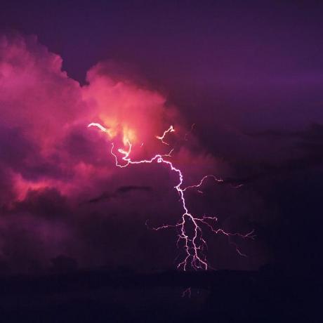 Wandering Wombat Github - Premium Colorful Illustration Gallery - HD