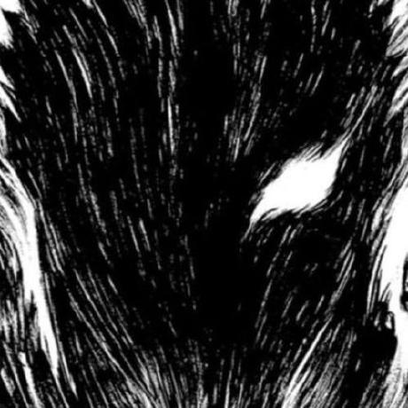 Pedrogart Pedro Github