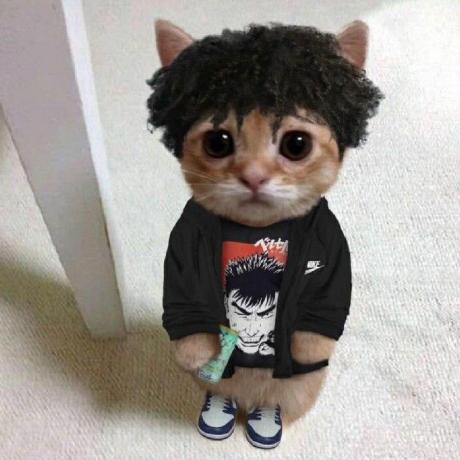 Scriptbros El Gato Github