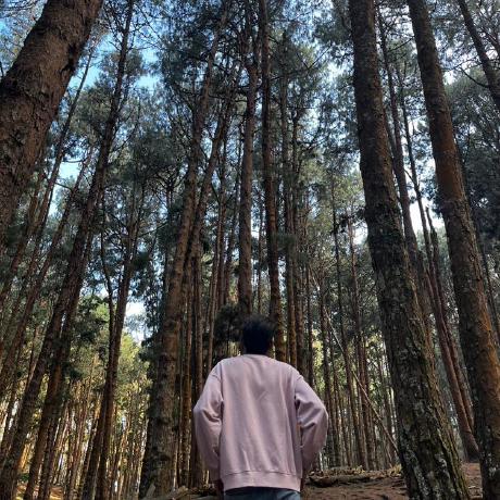 Vitthal Choudhary Vitthal Choudhary Github