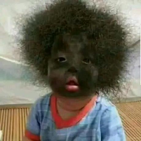 Whofancy Fancy Github