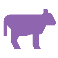 Purple Cow Github