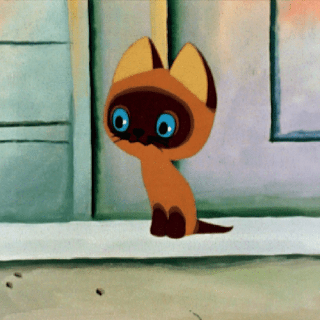 Kitten Woof Kitten Woof Github