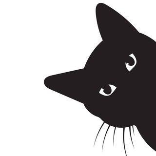 Bubekichi Inc Github