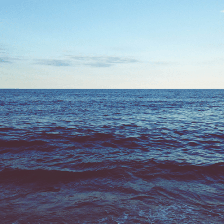 Museaway Muse Github