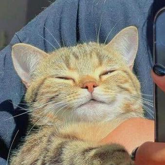 Dorianx23 Dorian Github