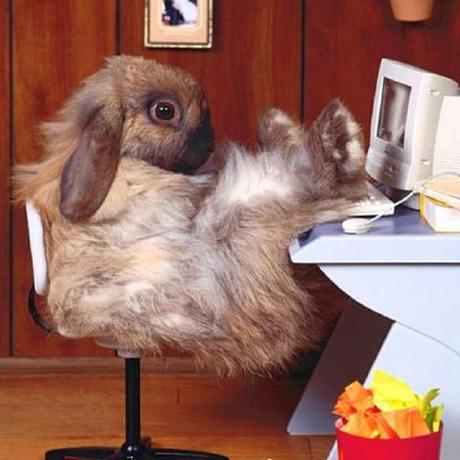 Useless Items Github