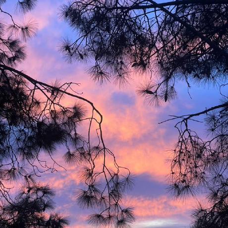 Alixoxox Sufyan Ali Github - Best Gradient Images in Full HD