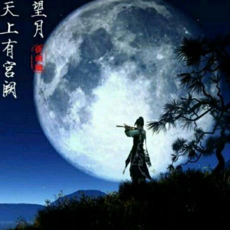 Shchen233 Shuhang Chen Github