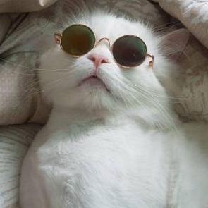 Michellemacas Michelle Github