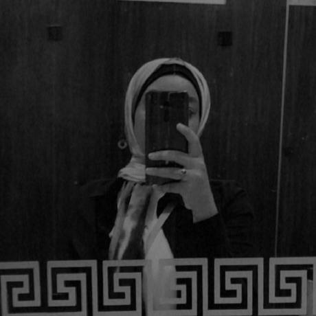 Menna1311 Menna Github