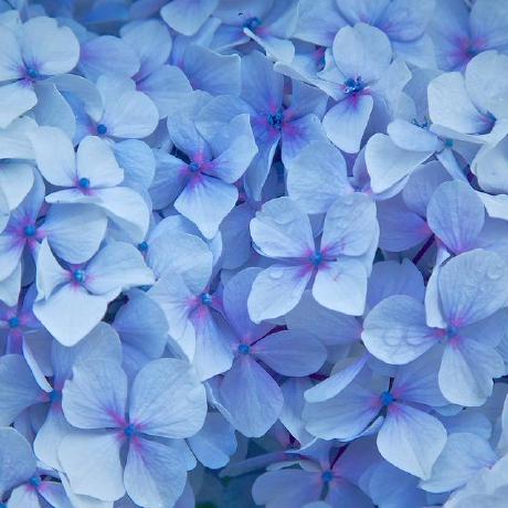 Ramyasruthi3 Ramya Github