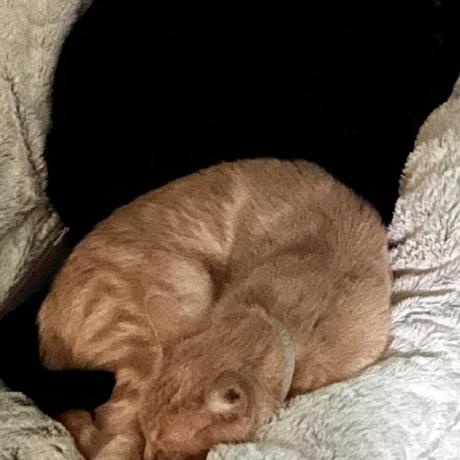 Jadenseangmany Jaden Github