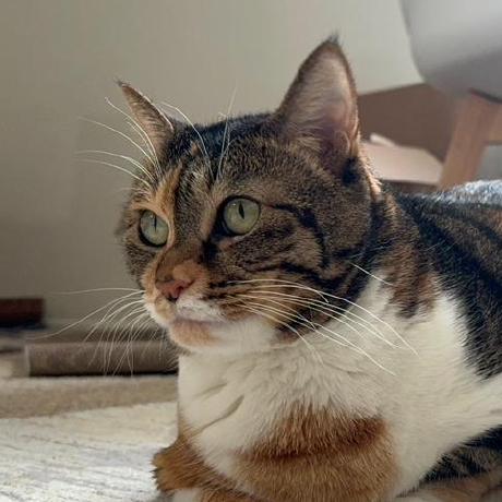 Yejinpark48 Yejin Github