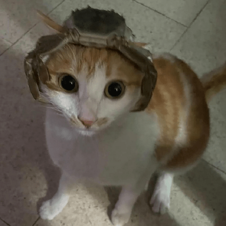 D4rkzsx Danilo Alves Github