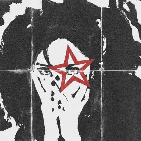 Moonlightrobin Robin Github