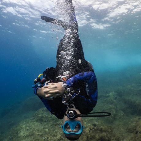 Georgesfoundation Georges Github